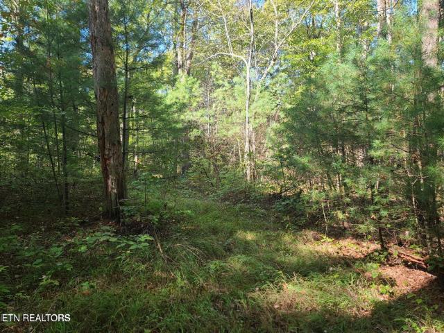 Hannah Davidson Rd, Sunbright, TN 37872