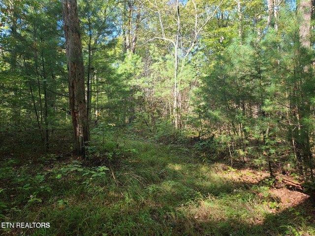 Hannah Davidson Rd, Sunbright, TN 37872