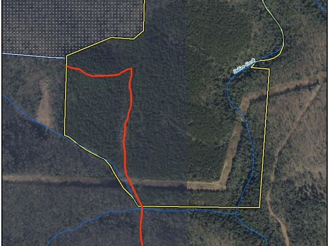 Hannah Davidson Rd, Robbins, TN 37852