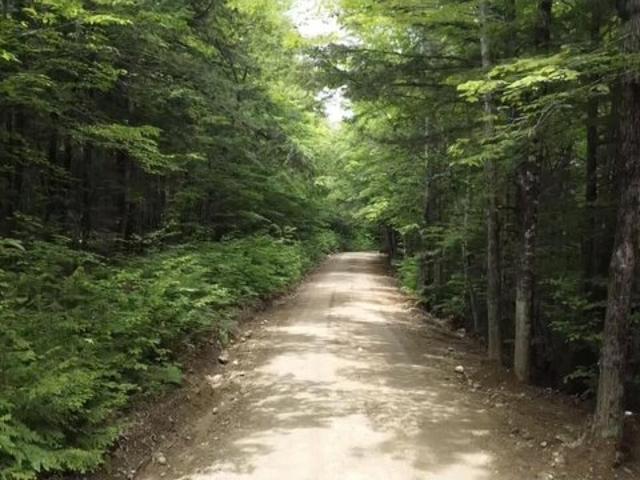 Hanslip Rd Lot 14, Wilton, ME 04294