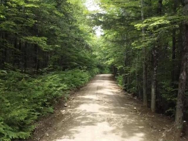 Hanslip Rd Lot,wilton, Plot For Sale