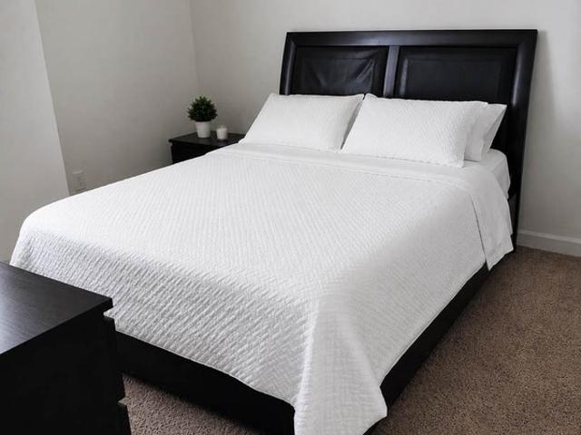 Habitacion para dama