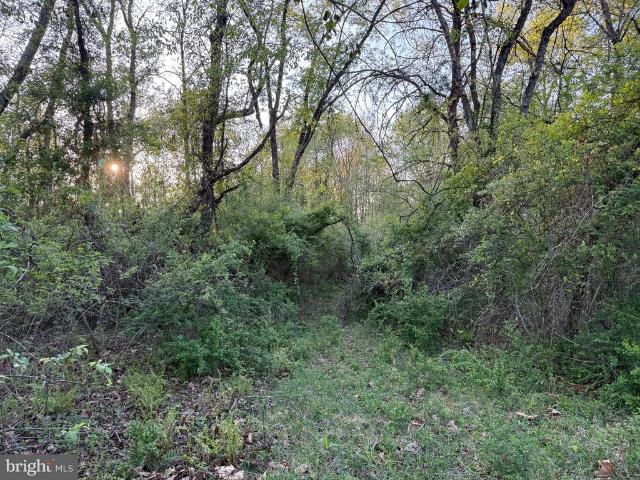 Hackamore Lane