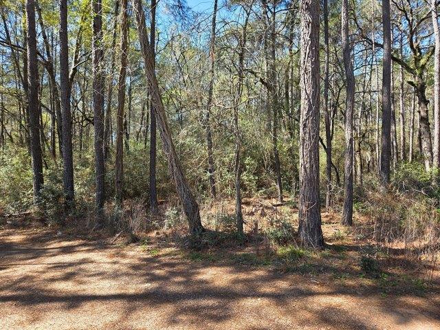 Hackberry Dr Lot 20, Plantersville, TX 77363