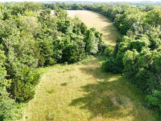 Hackberry Road