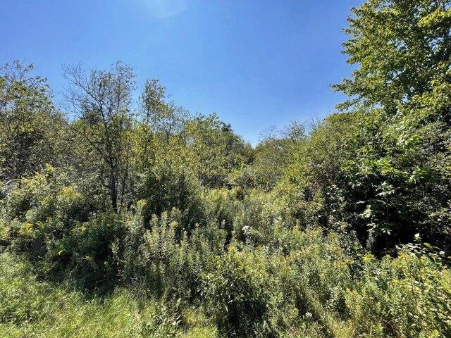 Hadley Lake Rd, East Machias, Plot For Sale