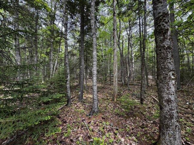 Hadley Point Rd Lot,bar Harbor, Plot For Sale
