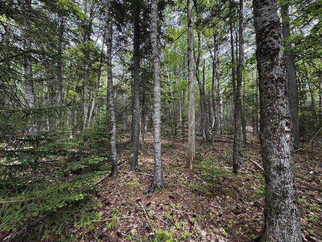 Hadley Point Rd Lot 0, Bar Harbor, ME 04609
