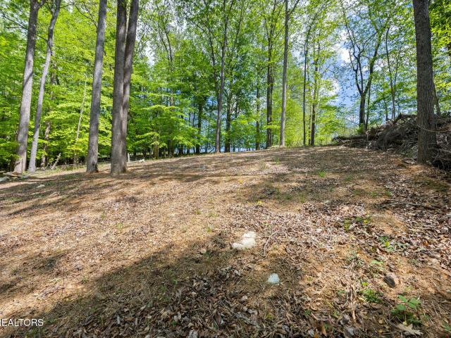 Hagaman Rd, Andersonville, TN 37705