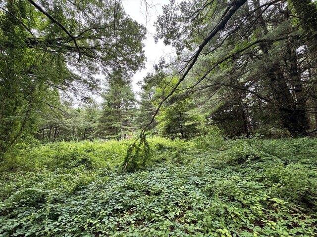 Haggetts Pond Rd, Andover, Plot For Sale