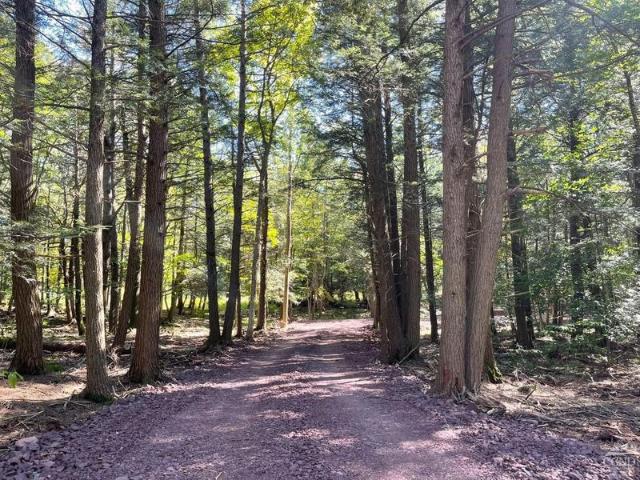 Haines Falls, Greene County, NY Undeveloped Land for sale Prop.