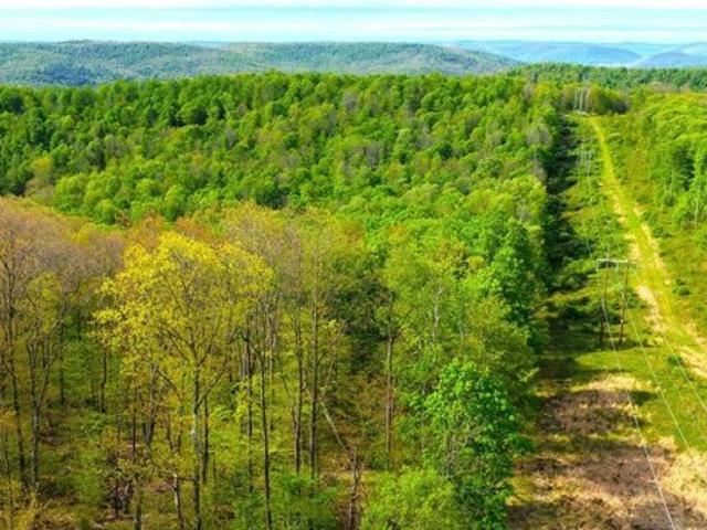 Haines Hollow Rd, Great Valley, Plot For Sale