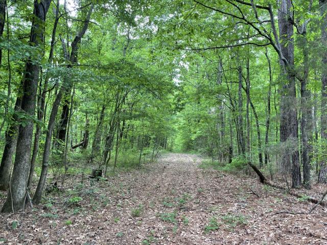 Hairston Bend Road, Columbus, MS 39702