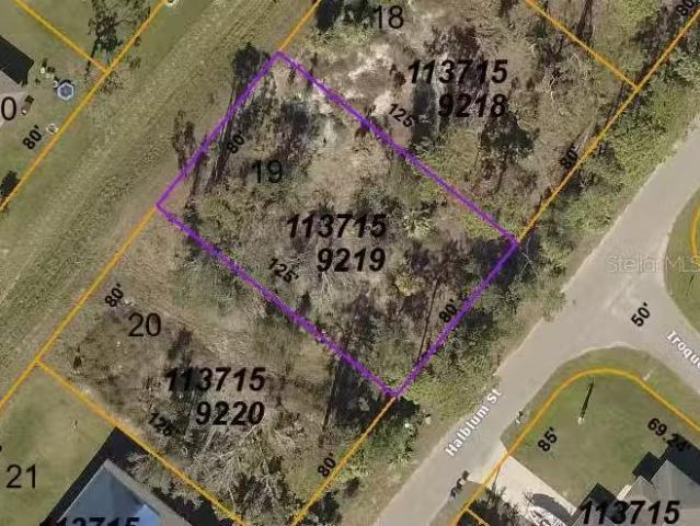 Halblum St, North Port, FL 34288 MLS N6132092