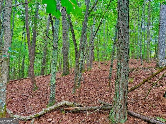 Hale Ct, Ellijay, GA 30540