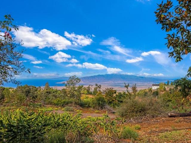 Haleakala Hwy Unit B, Kula, HI 96790