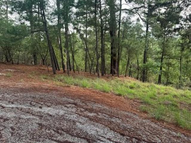 Haleakala Lot 1492, Bastrop, TX 78602