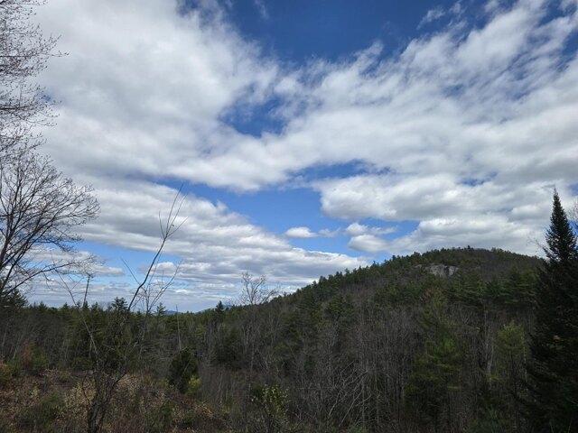 Haley Town Rd, Brownfield, Plot For Sale