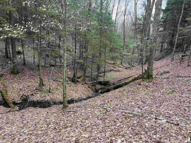 Haley Dr Lot,hyde Park, Plot For Sale