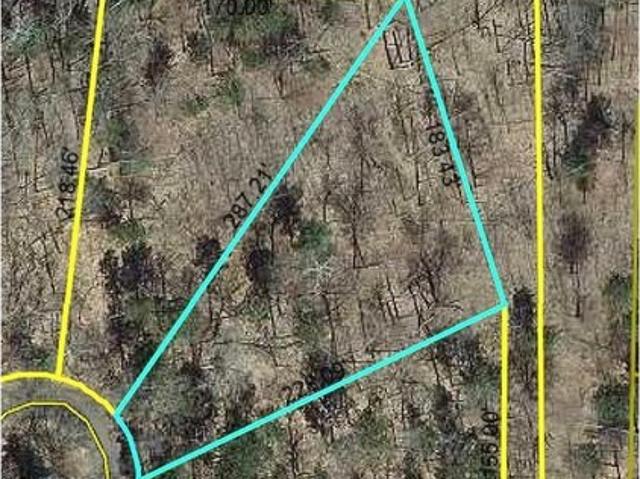 Half Moon Trl Lot 36, Danbury, WI 54830