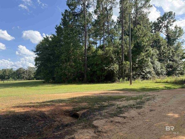 Hall Creek Rd, Brewton, AL 36426