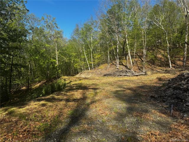 Hall Hill Road