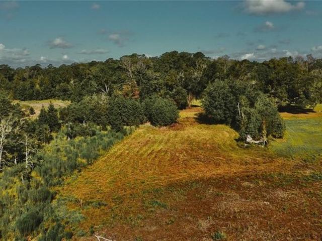 Hall Lake Rd, Keystone Heights, FL 32656