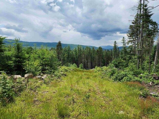 Hall Rd, Errol, Plot For Sale