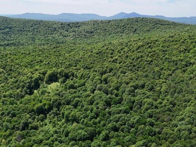 Hall Rd, Lunenburg, Plot For Sale