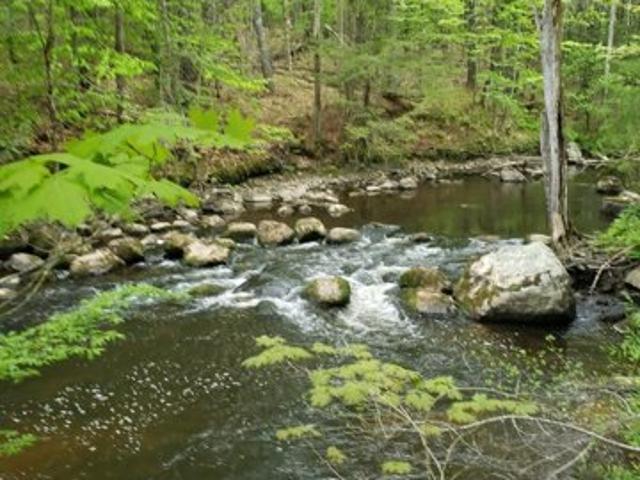 Hall Rd, Windham, Plot For Sale