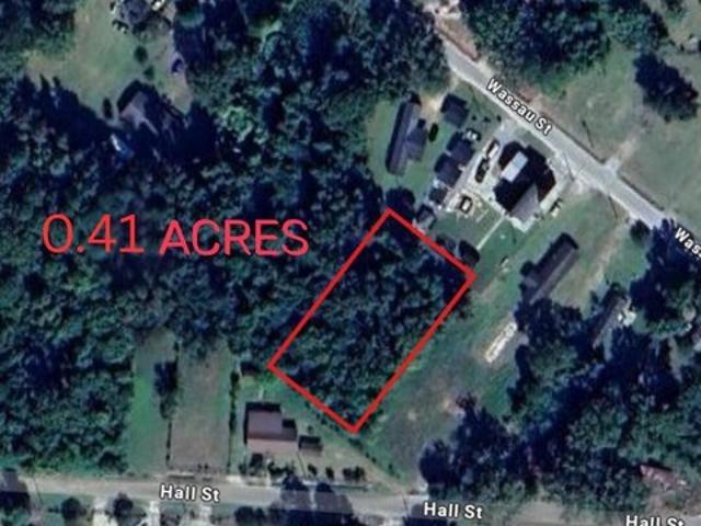 Hall St, Summerton, SC 29148