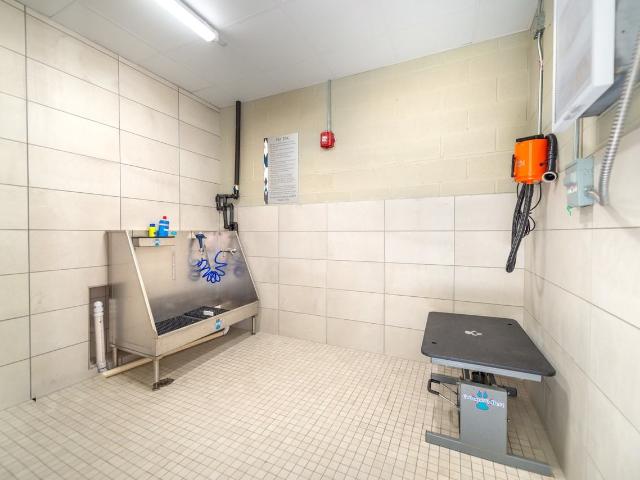 Hall Street Flats 1 Bedroom Apartment for Rent at 1800 N Hall St, Dallas, TX 75204