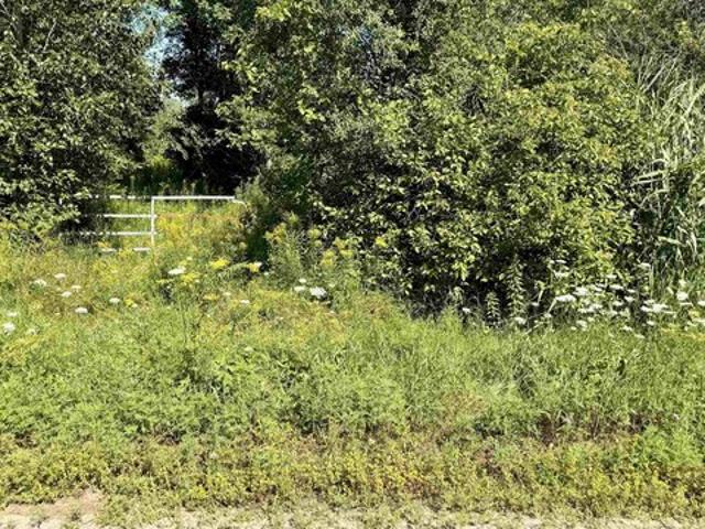 Hallahan Rd, Brasher Falls, NY 13613