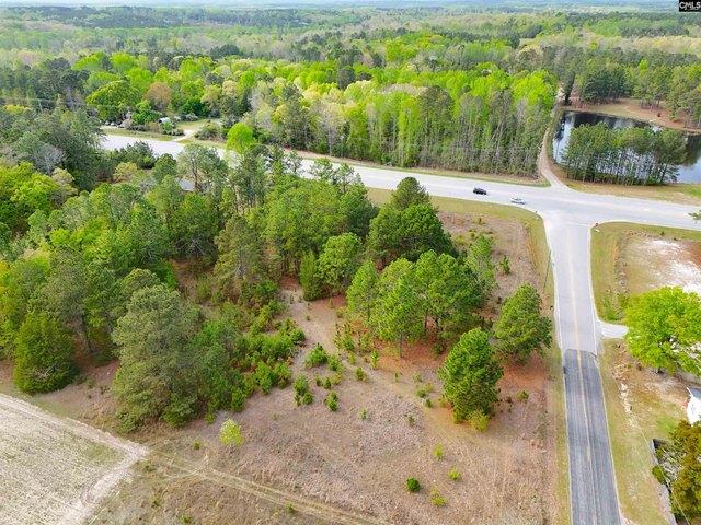 Hallman Wagon Rd, Leesville, SC 29070