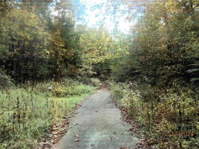 Halls Branch Rd, Stanton, KY 40380