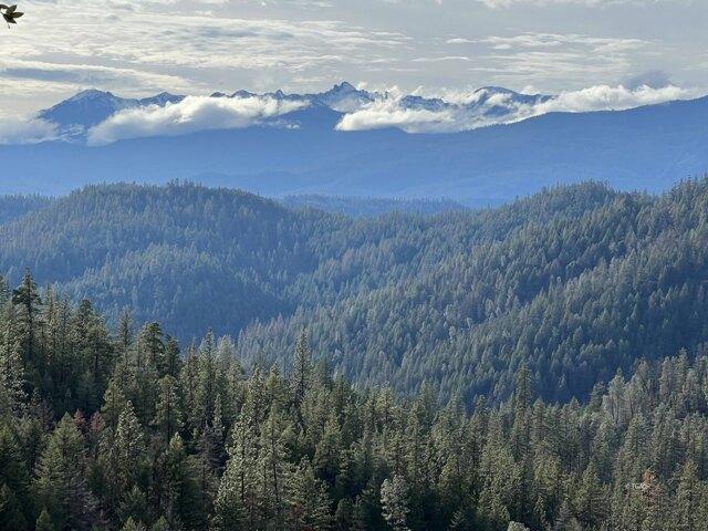 Halls Gulch Rd, Coffee Creek, Plot For Sale