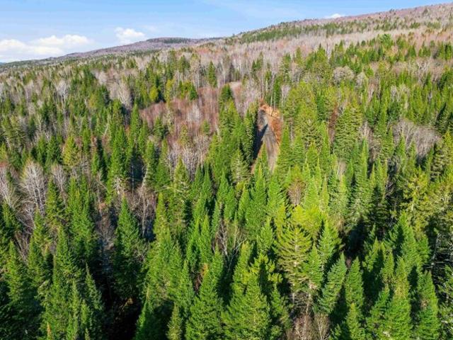 Halls Stream Rd Lot,pittsburg, Plot For Sale