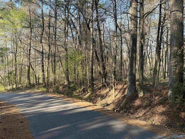 Halsey St Lot 1 and Pt of # 2, Gadsden, AL 35901