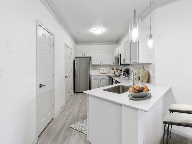 Halston South Point Apartment Homes 1 Bedroom Apartment for Rent at 1690 Highway 20 W, Mcdonough, GA 30253