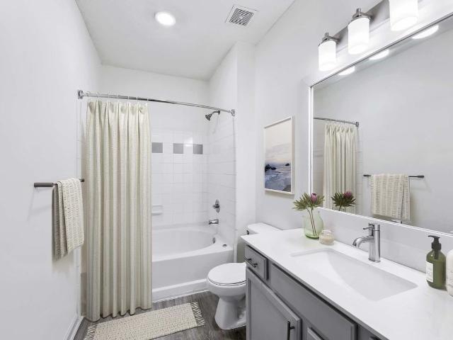 Halston South Point Apartment Homes 1 Bedroom Apartment for Rent at 1690 Highway 20 W, Mcdonough, GA 30253