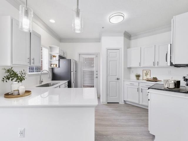 Halston South Point Apartment Homes 2 Bedroom Apartment for Rent at 1690 Highway 20 W, Mcdonough, GA 30253