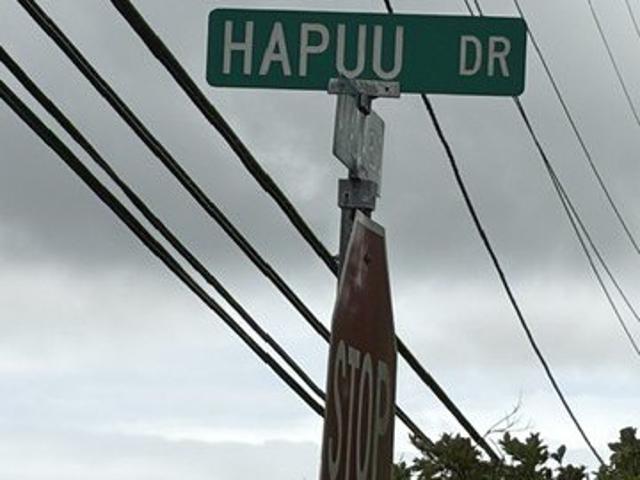 Hapuu Dr, Pahoa, HI 96778