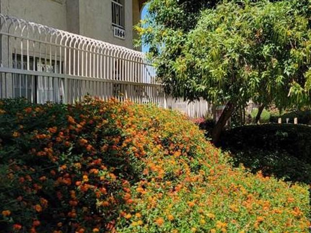 Happ Investments, LLC / 1864 12th St / John 1 Bedroom Apartment for Rent at 1864 12th St, Riverside, CA 92507 Eastside