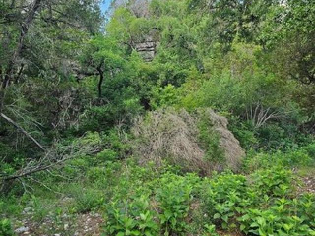 Happy Ac Holw Lot 20, New Braunfels, TX 78132