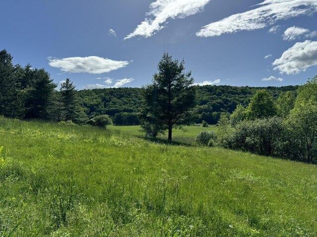Happy Haven Rd Lot,wilmington, Plot For Sale