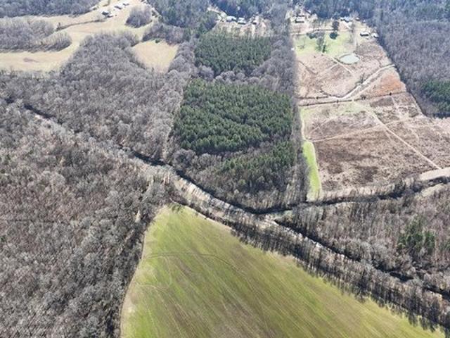 Happy Hollow Rd, Houston, MS 39776