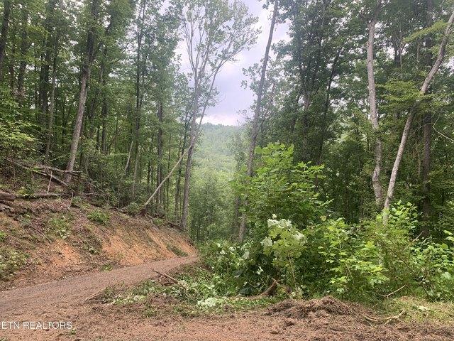 Happy Hollow Rd Unit 0, Sevierville, TN 37862