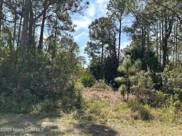 Hart St Sw, Palm Bay, Plot For Sale