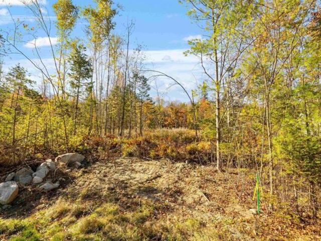 Hartco Ave Lot,lancaster, Plot For Sale