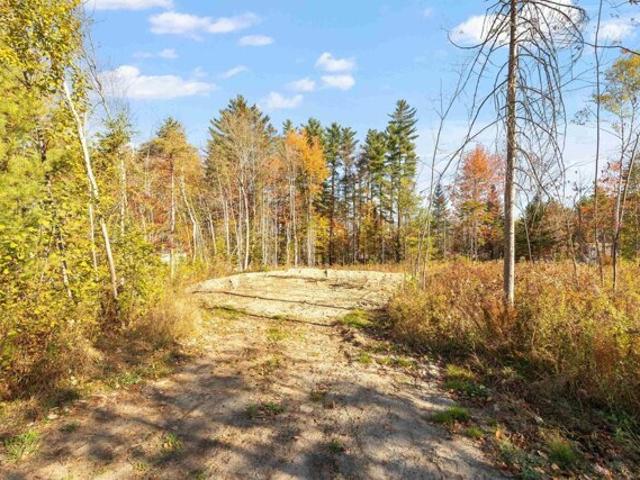 Hartco Ave Lot,lancaster, Plot For Sale